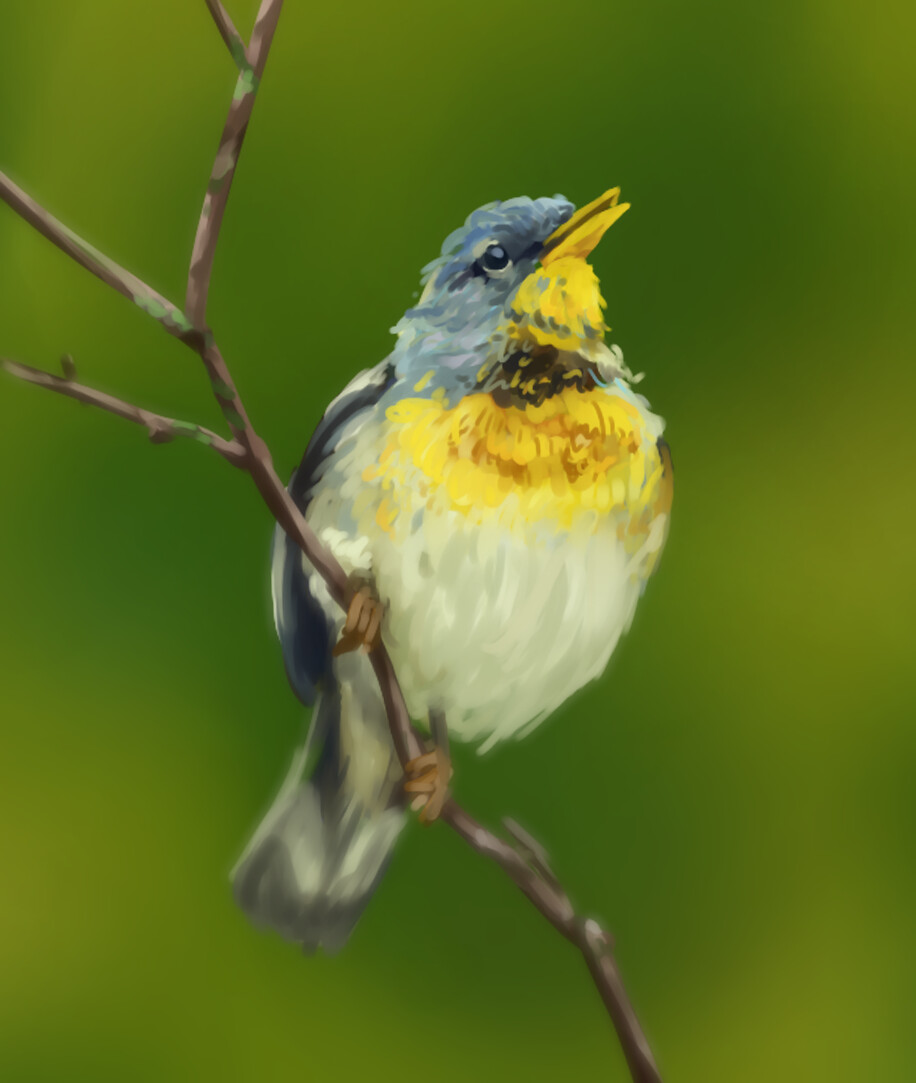 ArtStation - Animal study