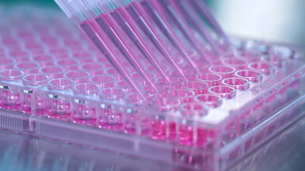 ArtStation - Organize and Track Your Data Effectively with a 96 Well ...