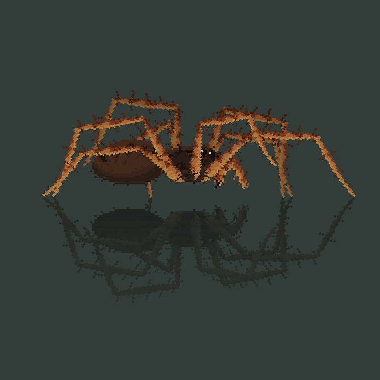 ArtStation - Wolf spider