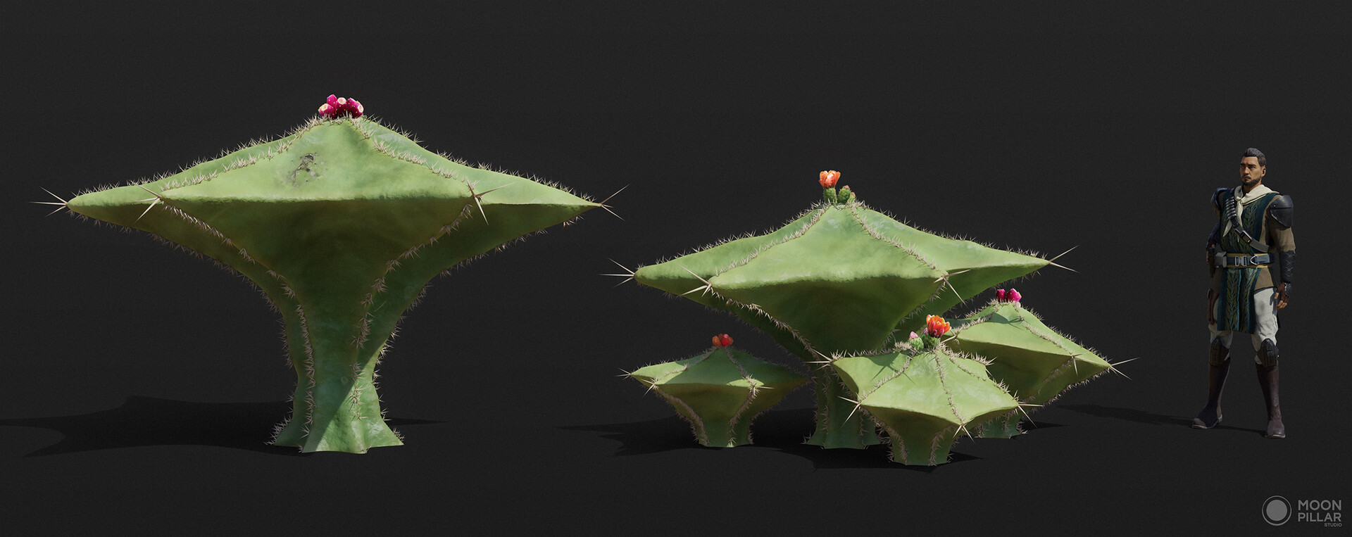 Moon Pillar Studio - Cosmos: Desert Plants