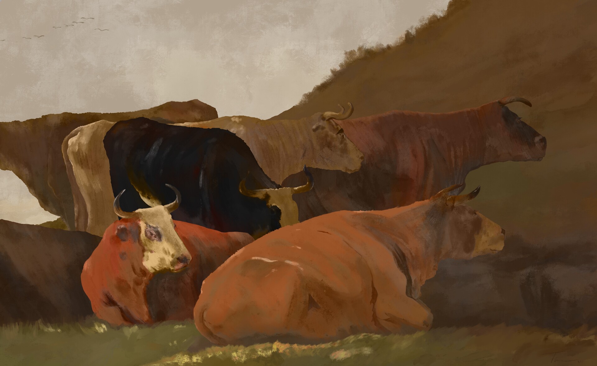 Thora Morrill - Animals