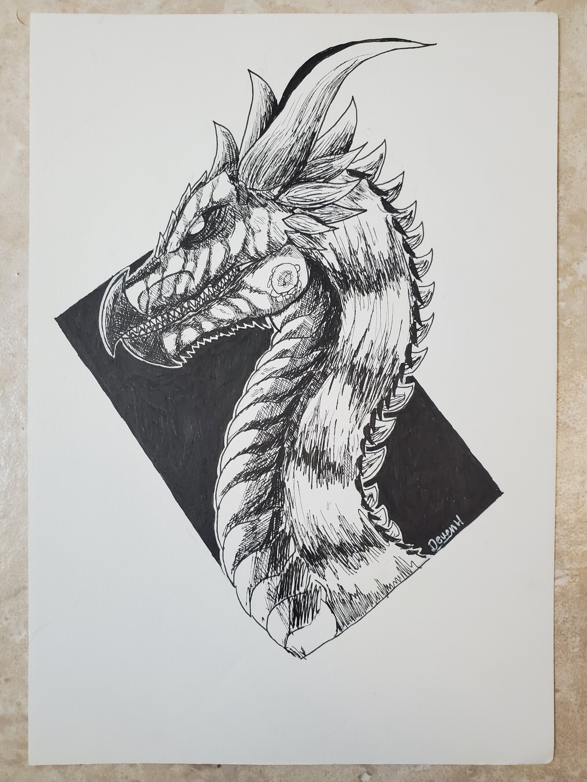 ArtStation - dragon sketch