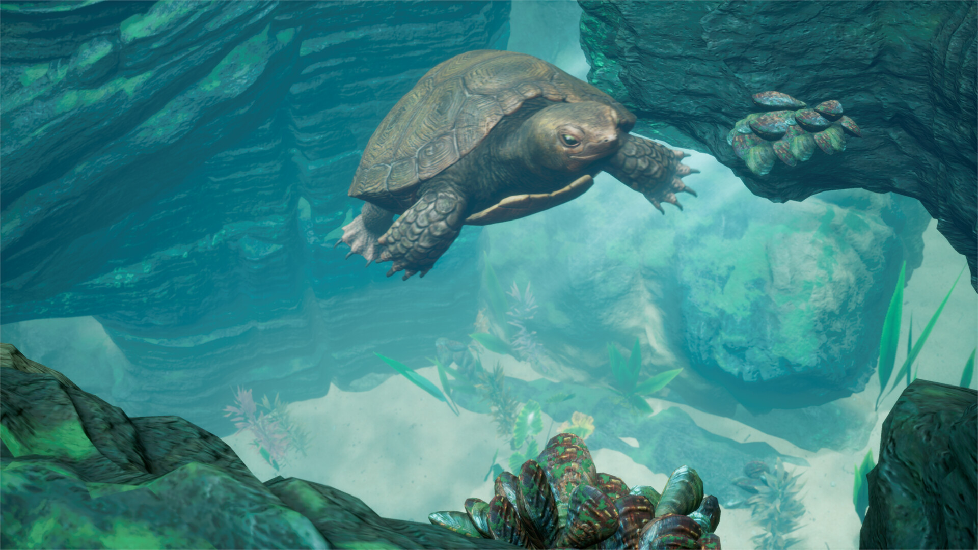 Daniel Rosa - Cambric Ocean Creatures