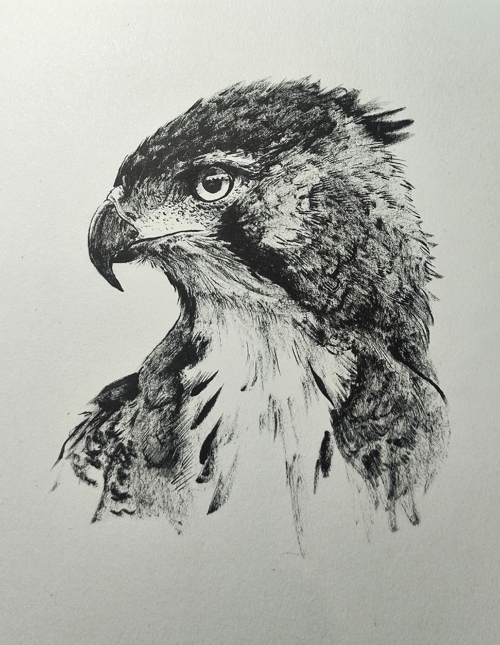 ArtStation - Traditional ink paint