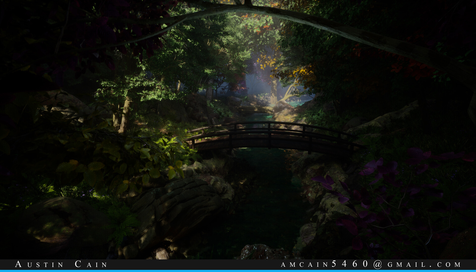 Austin Cain - The Forest