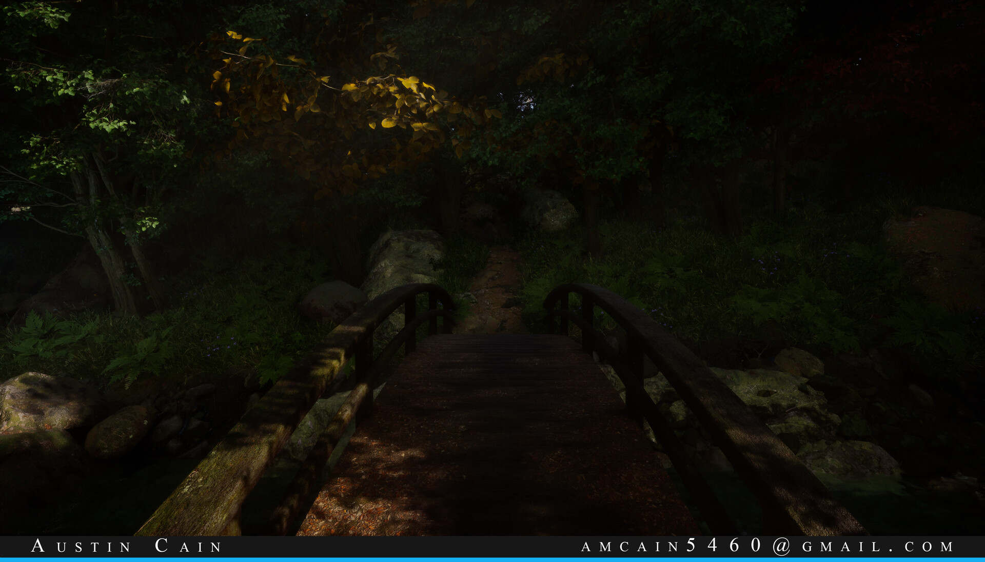 Austin Cain - The Forest