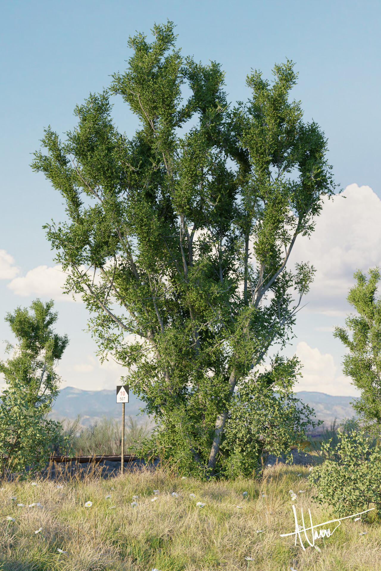 ArtStation - Poplar - Environment Render