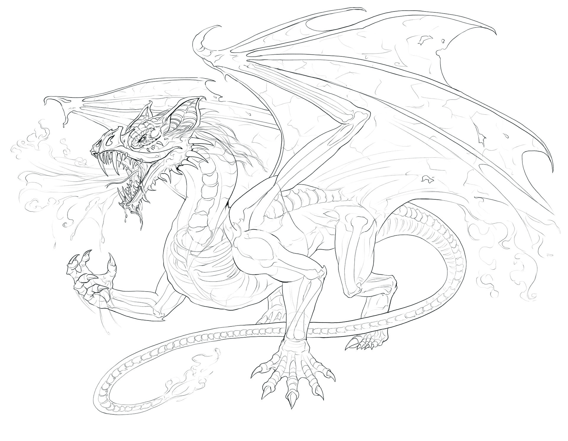 bat dragon coloring sheet