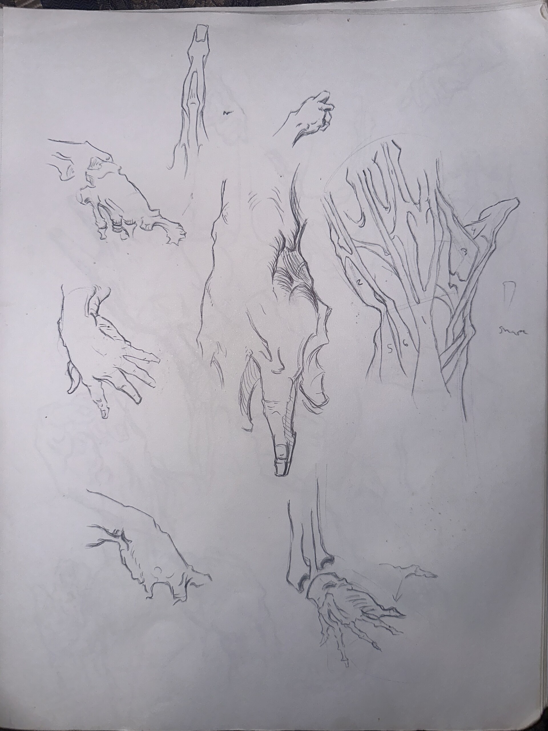 ArtStation - Bridgman Studies