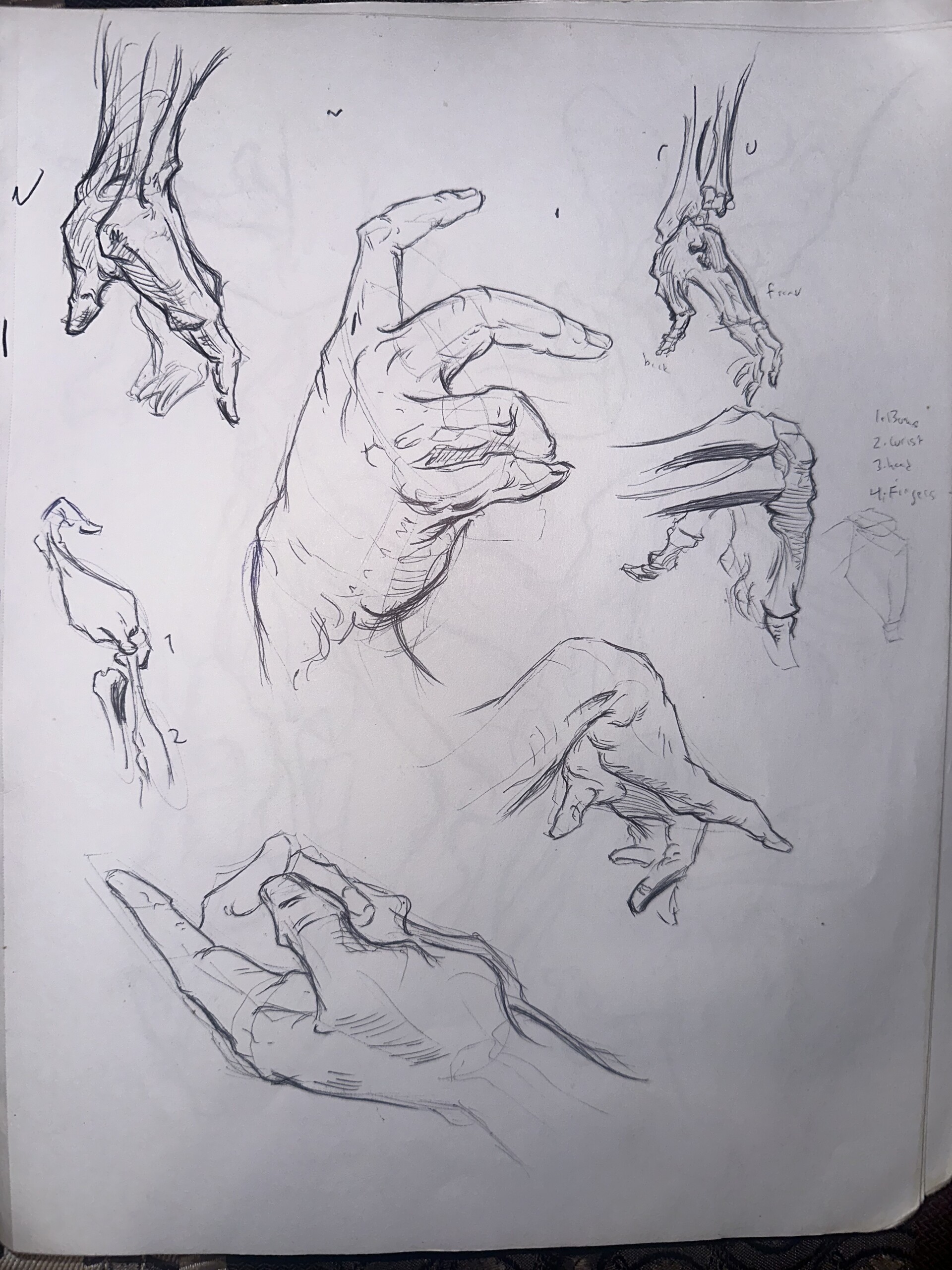 ArtStation - Bridgman Studies