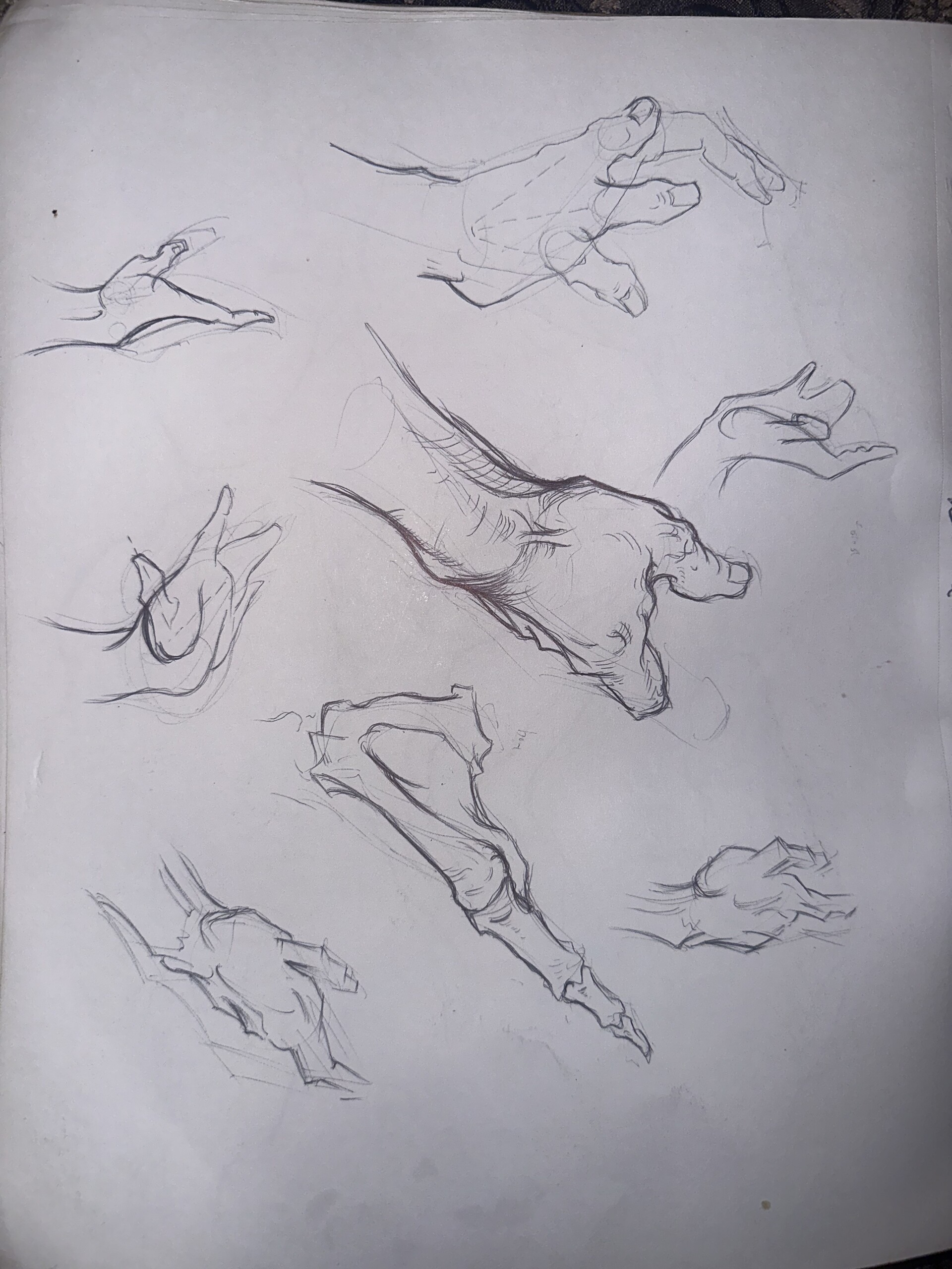 ArtStation - Bridgman Studies