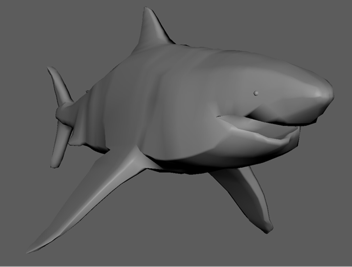 Rebecca Owen - 3D Modeling Shark
