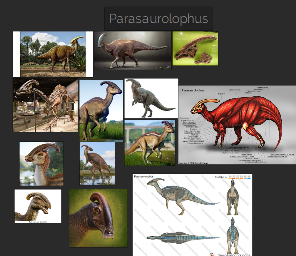 Rebecca Owen - Parasaurolophus Modelling