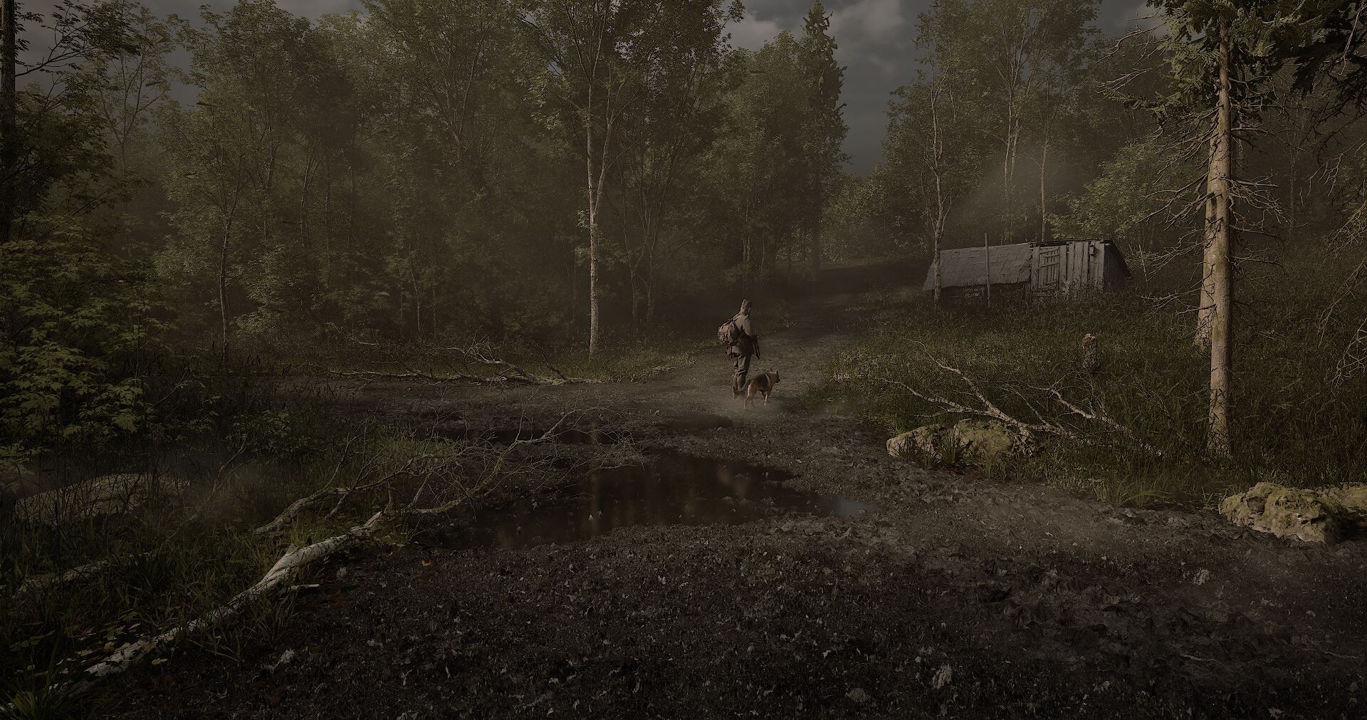 ArtStation - Muddy Pathways (UE5 Lumen)