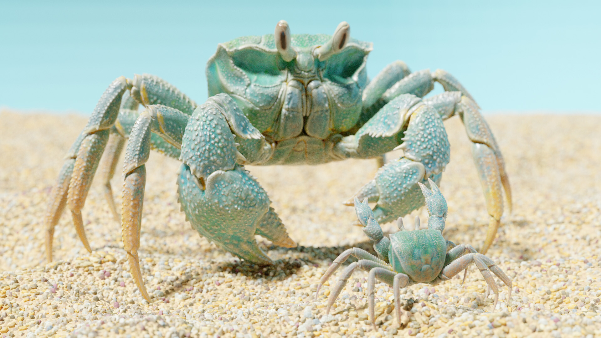 ArtStation - Alert ghost crab