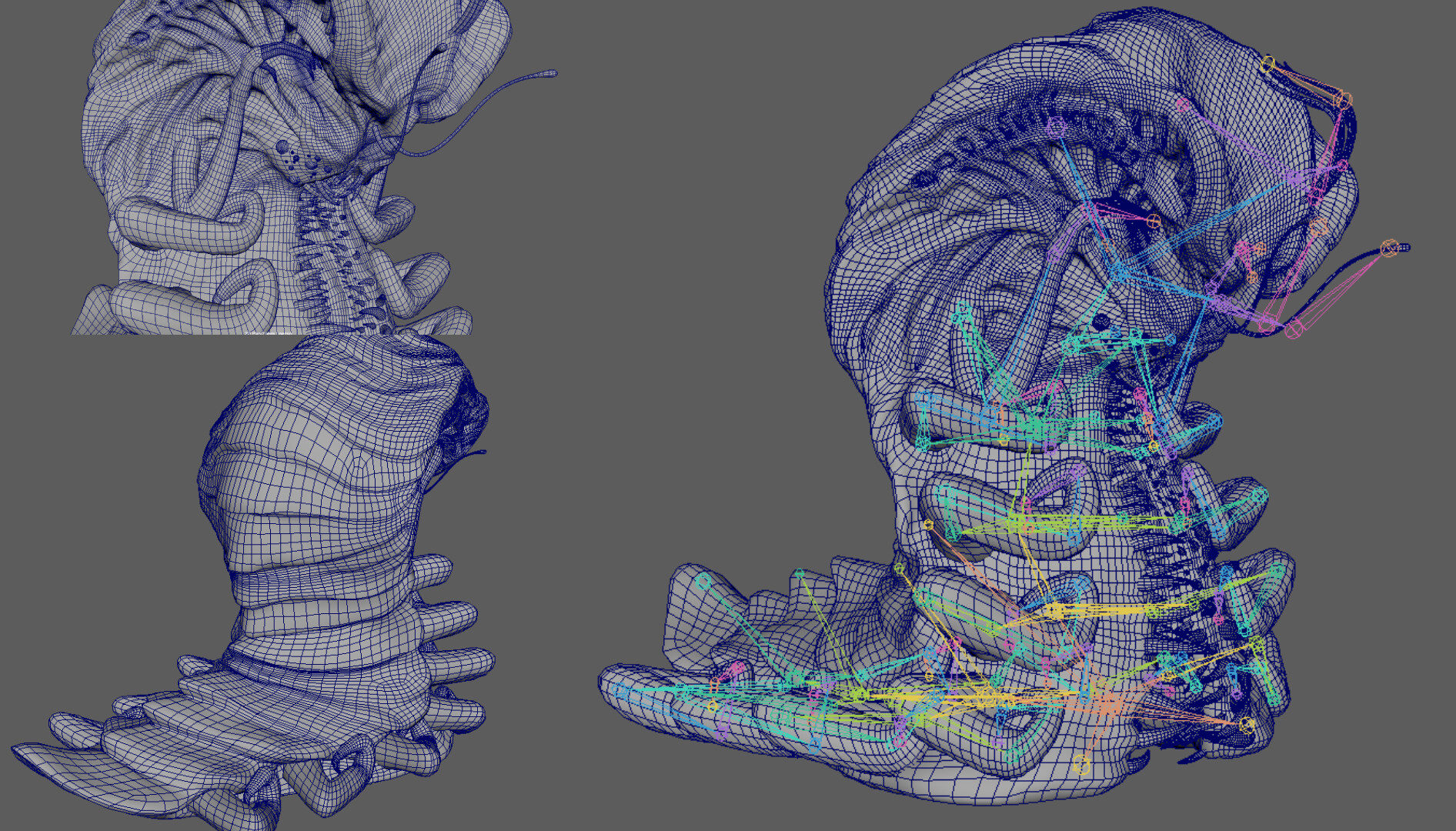 Olga Rudi - Collector Props / Modeling, Texturing, Rigging