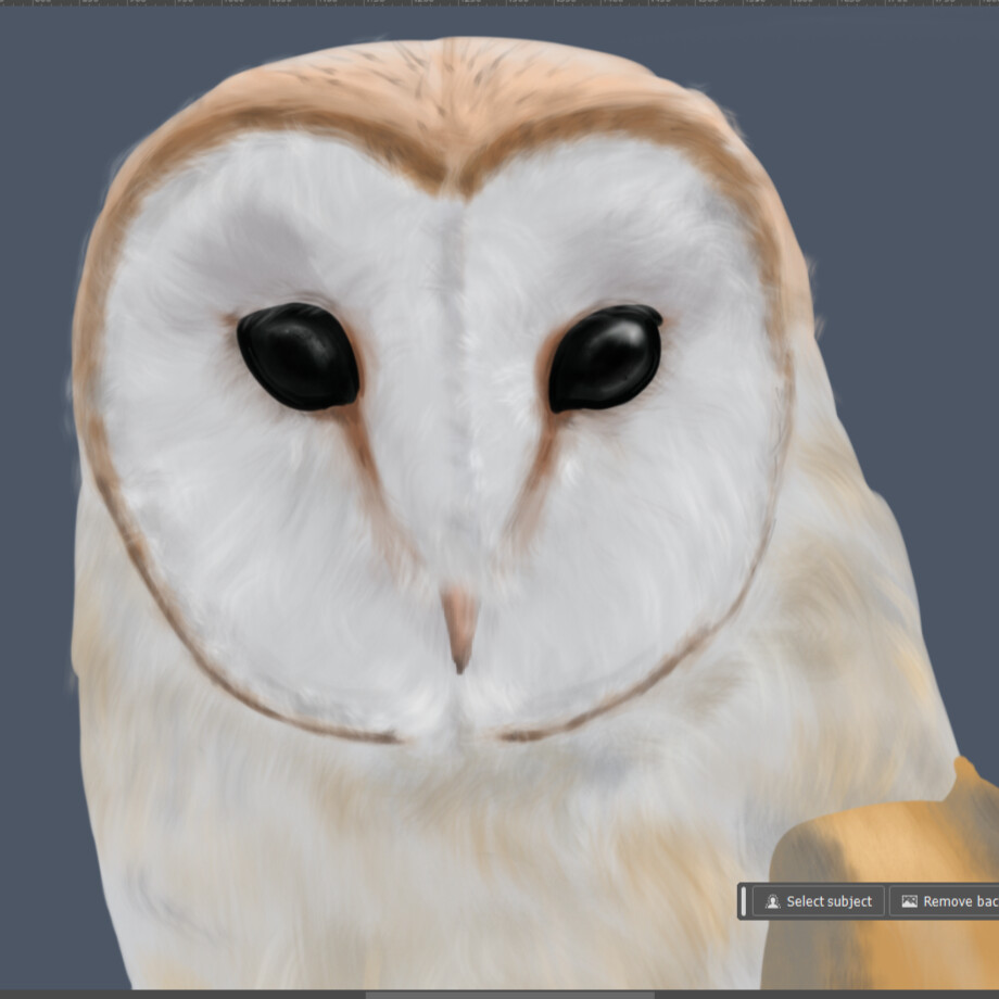 ArtStation - Barn Owl WIP