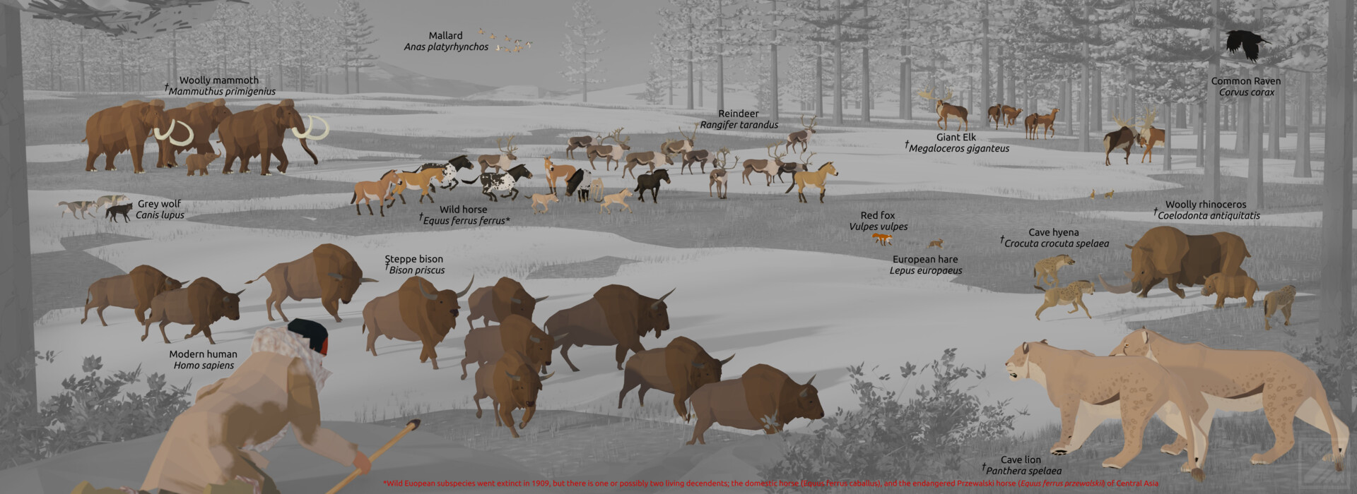 Adam Midzuk - Animals Of Ice Age Europe