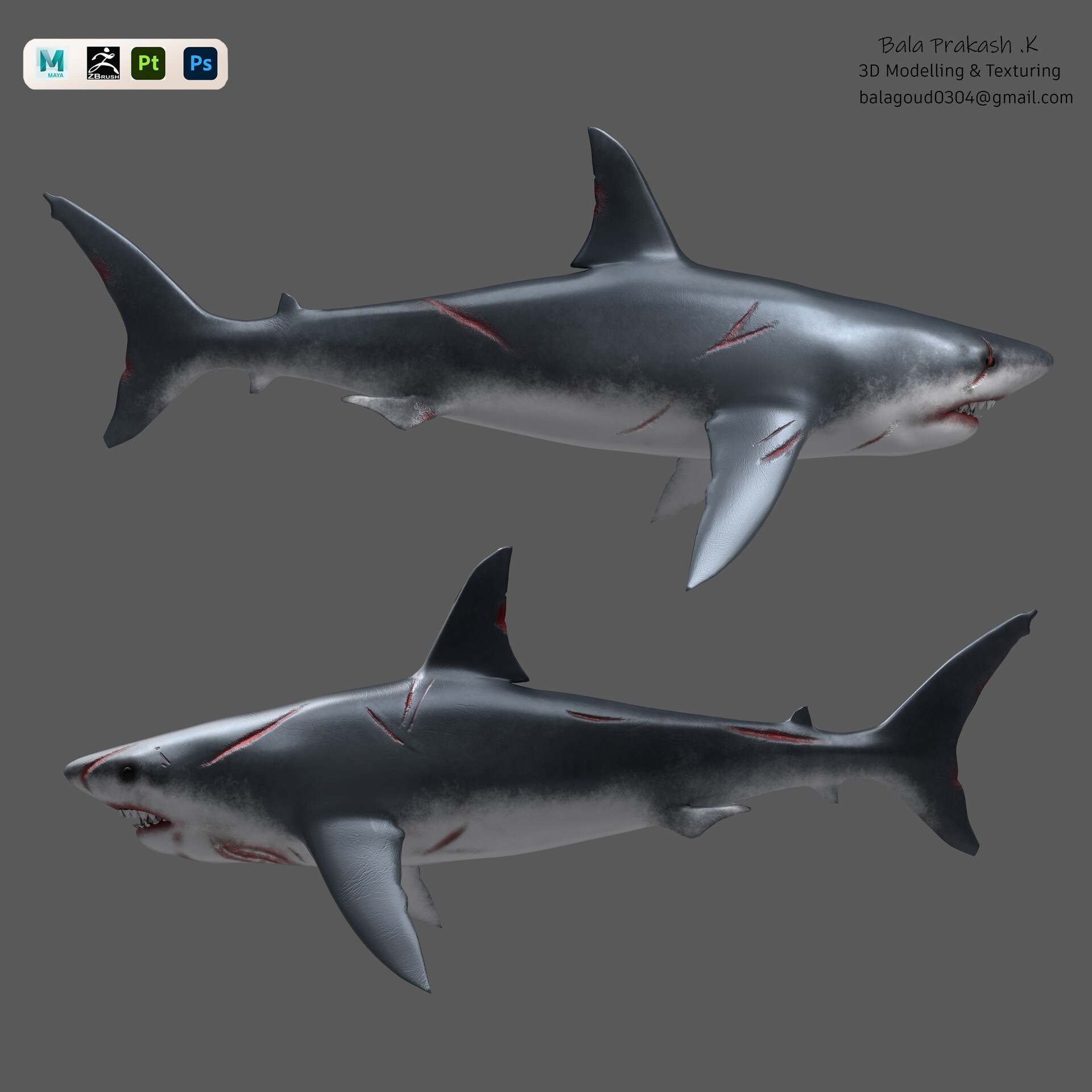ArtStation - Shark