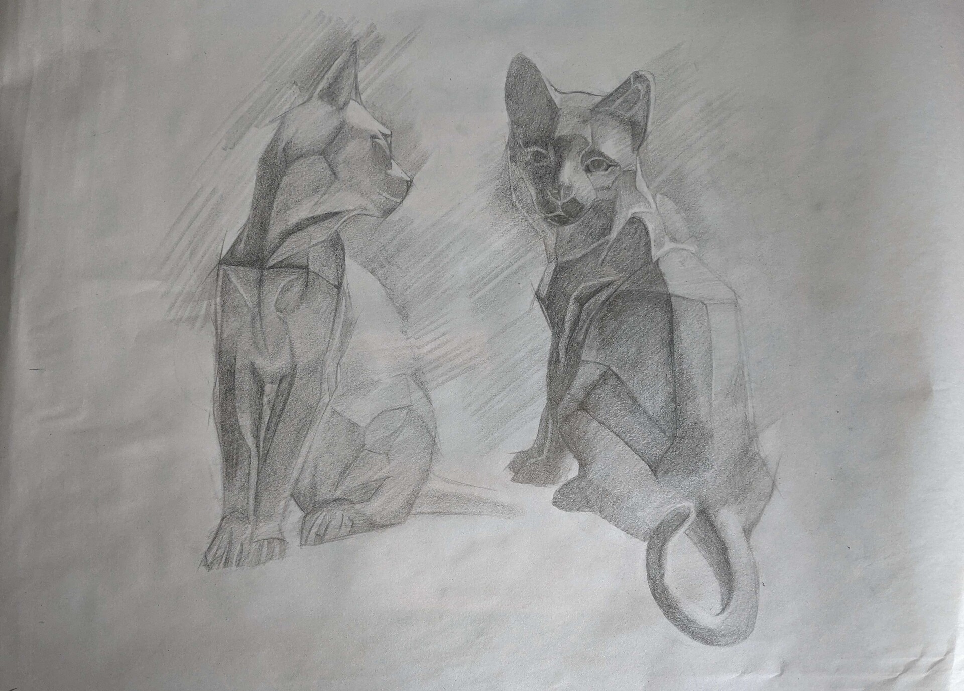 ArtStation - Cat Cast Study