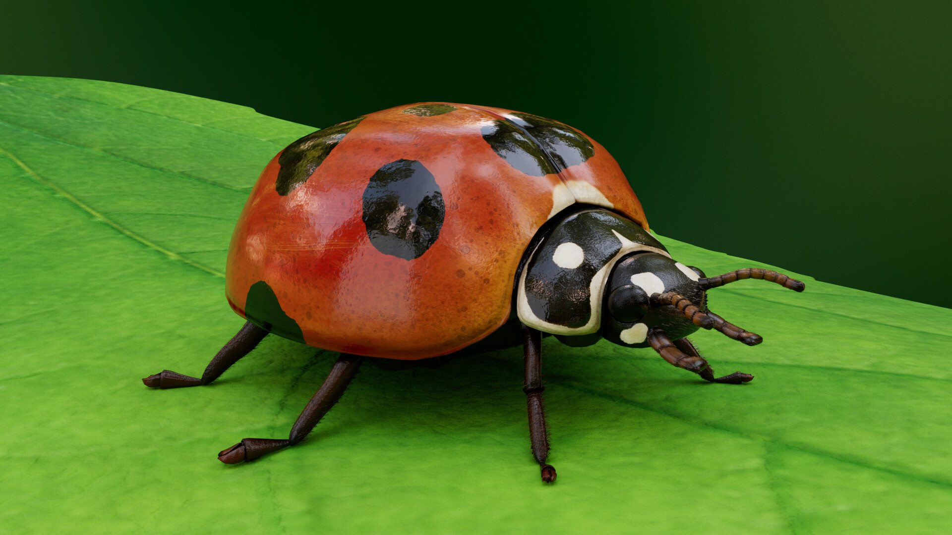 ArtStation - MODEL Ladybug