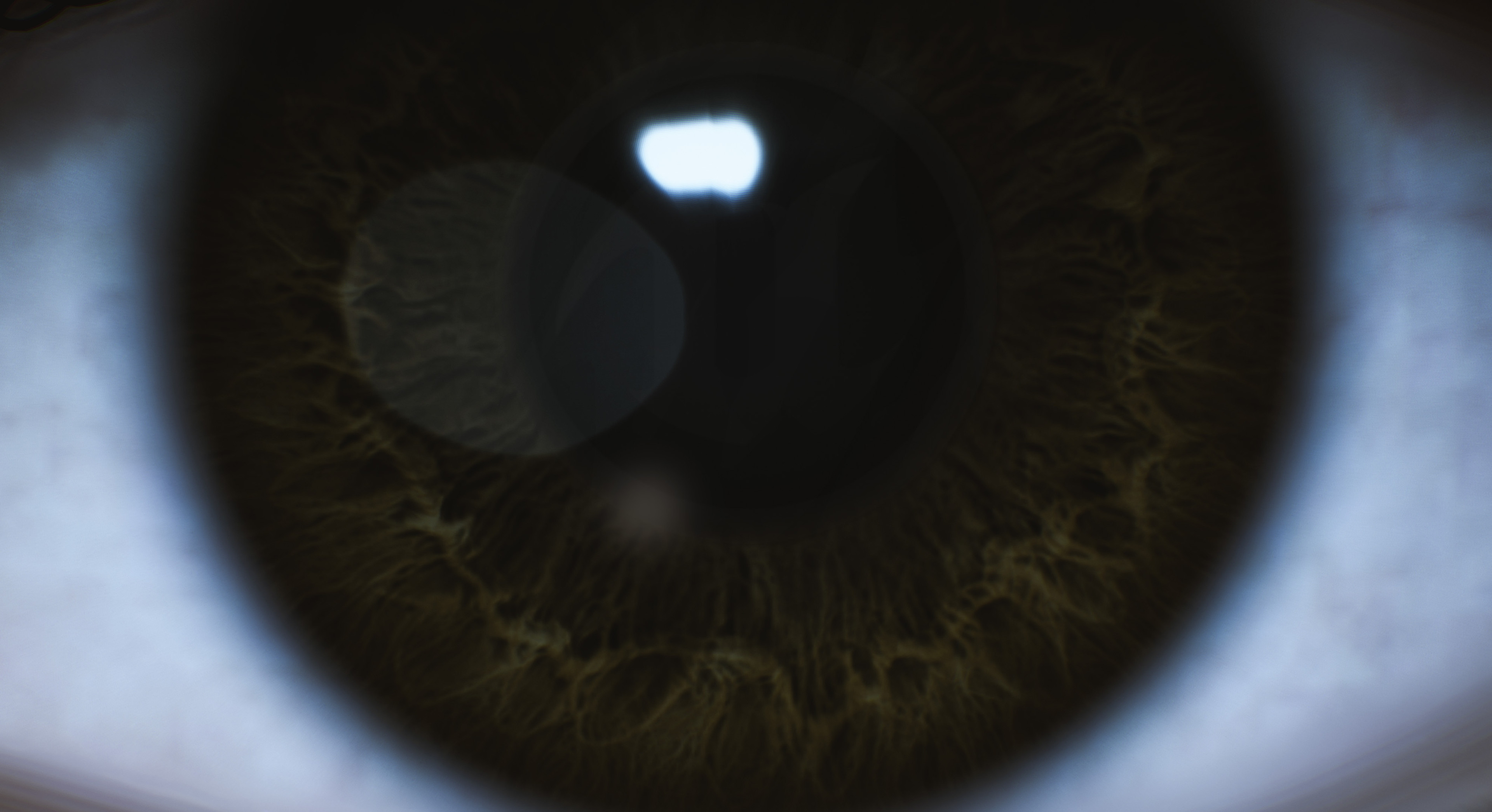 Digital Human - Yen Lee