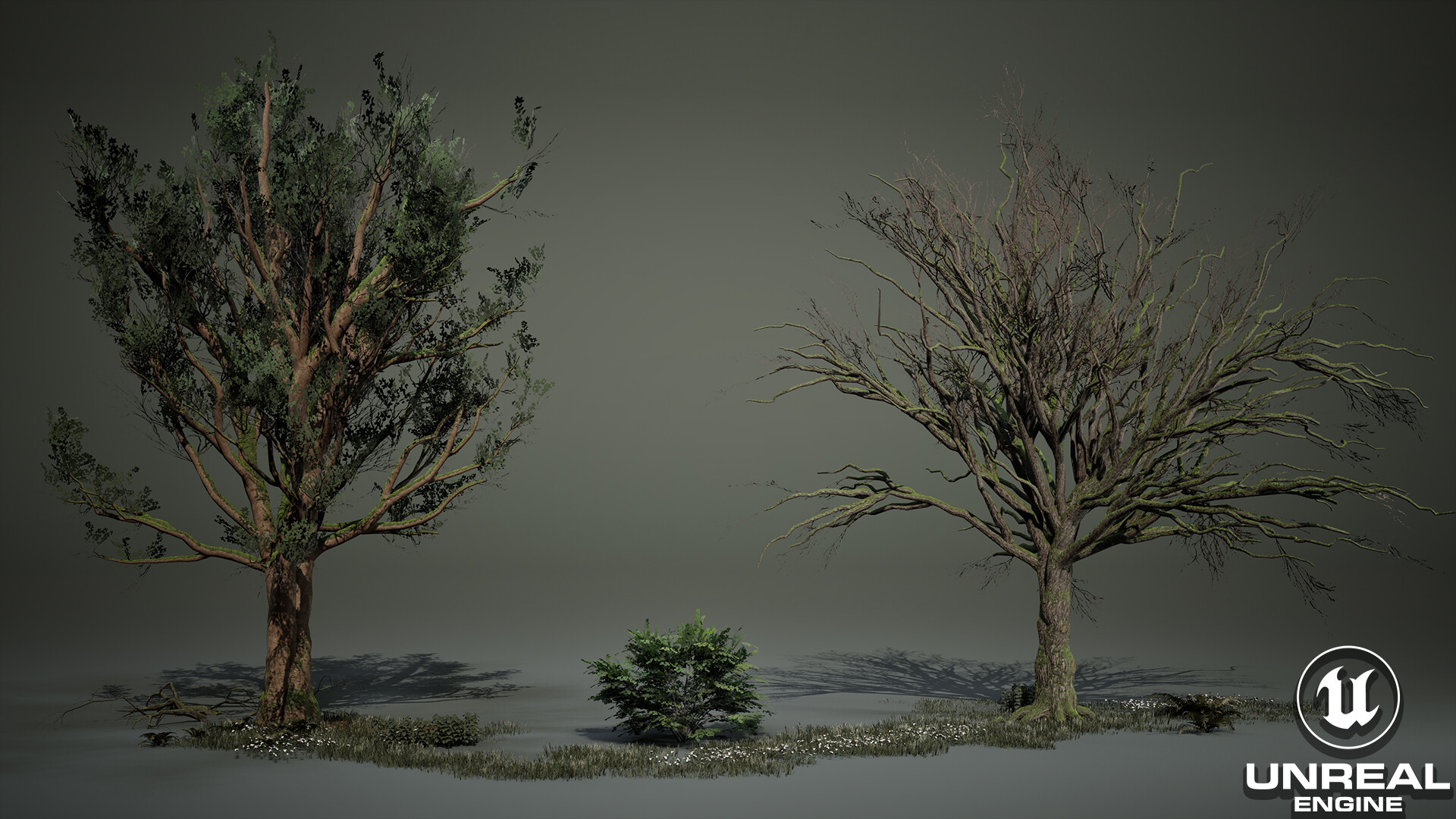 Callum Paton-Copley - Gothic fantasy castle UE5 (Stormfang Castle)