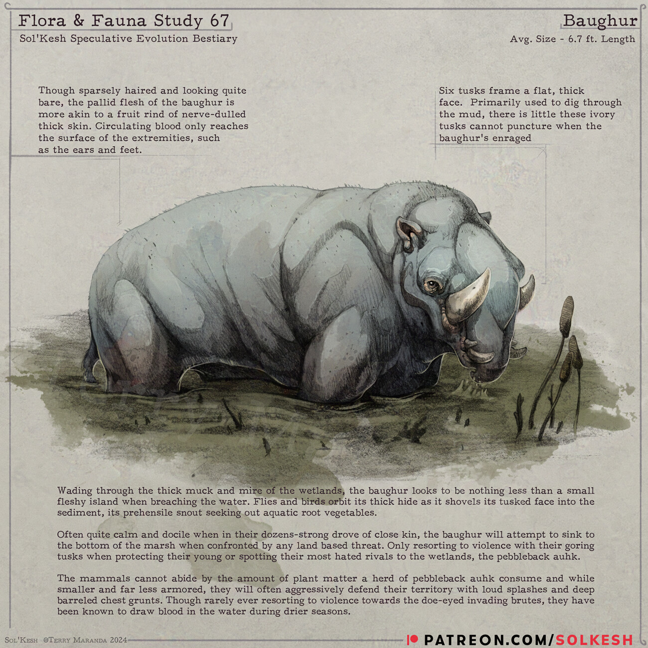 ArtStation - Creature Journal Baugher