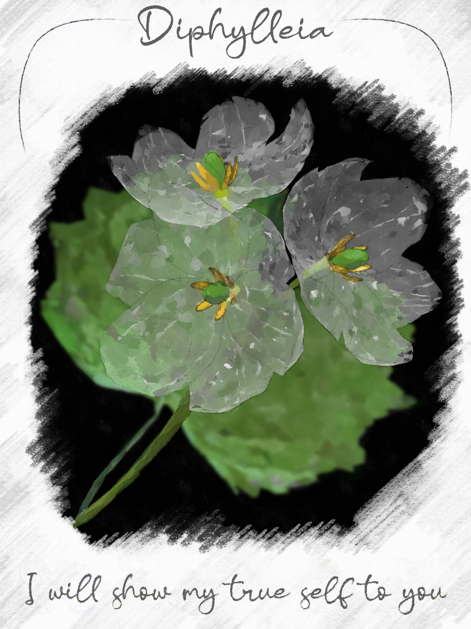 Jakub Siuda - Language of Flowers