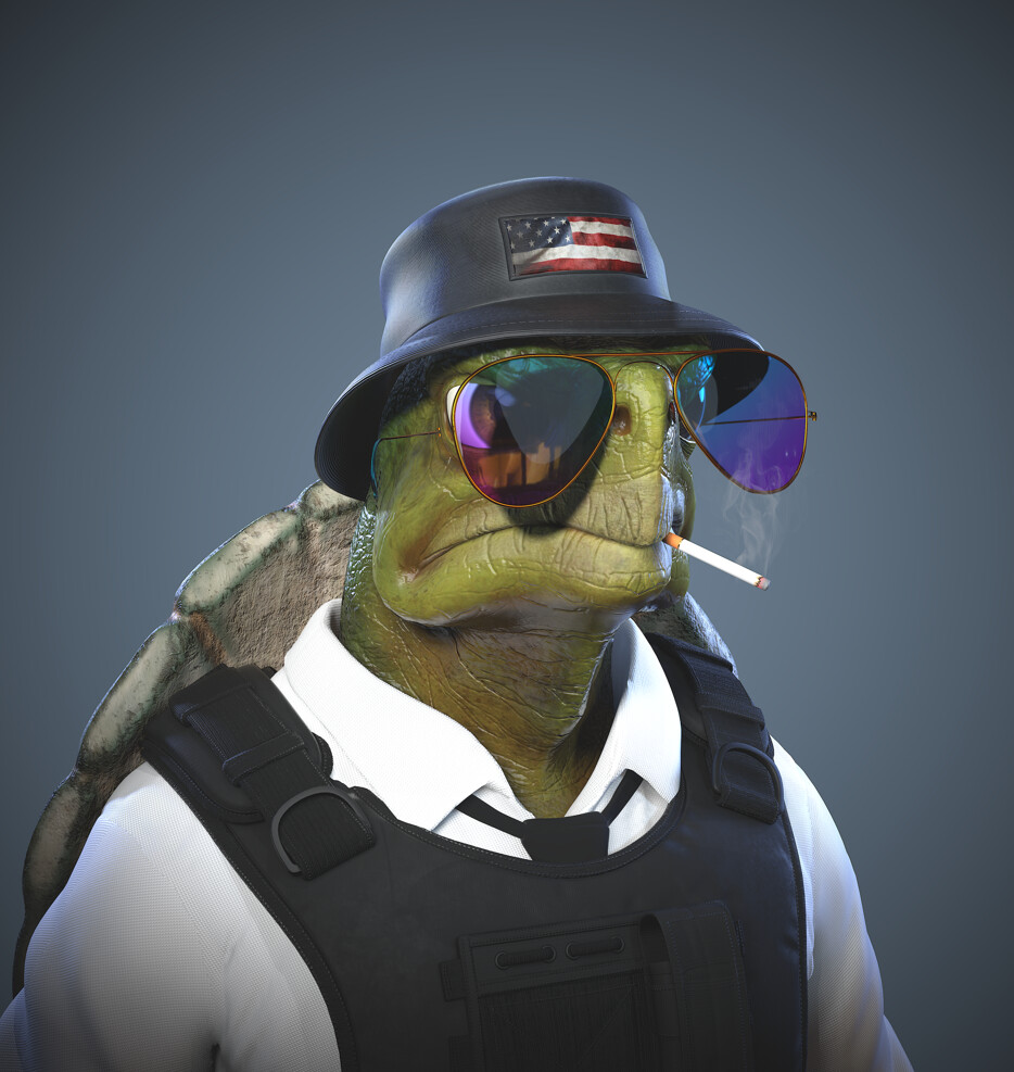 Maxime Galland - NFT - TURTLE - ALCHEMIST PICTURES