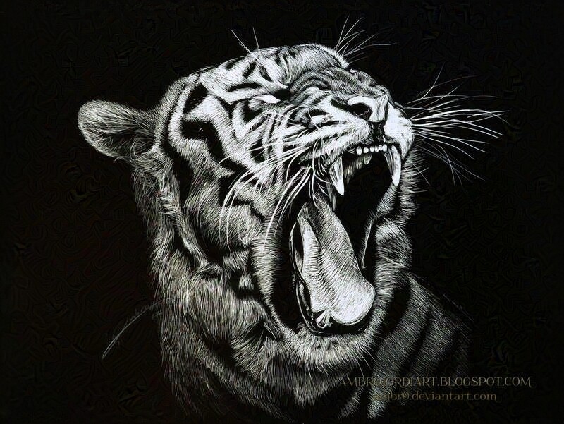 ArtStation - Tiger Scratchboard