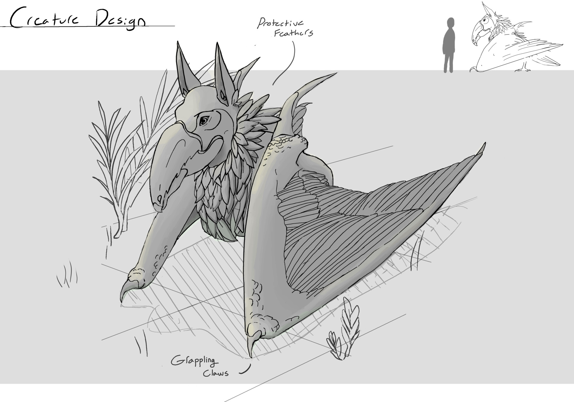 ArtStation - Toucan Creature Concept