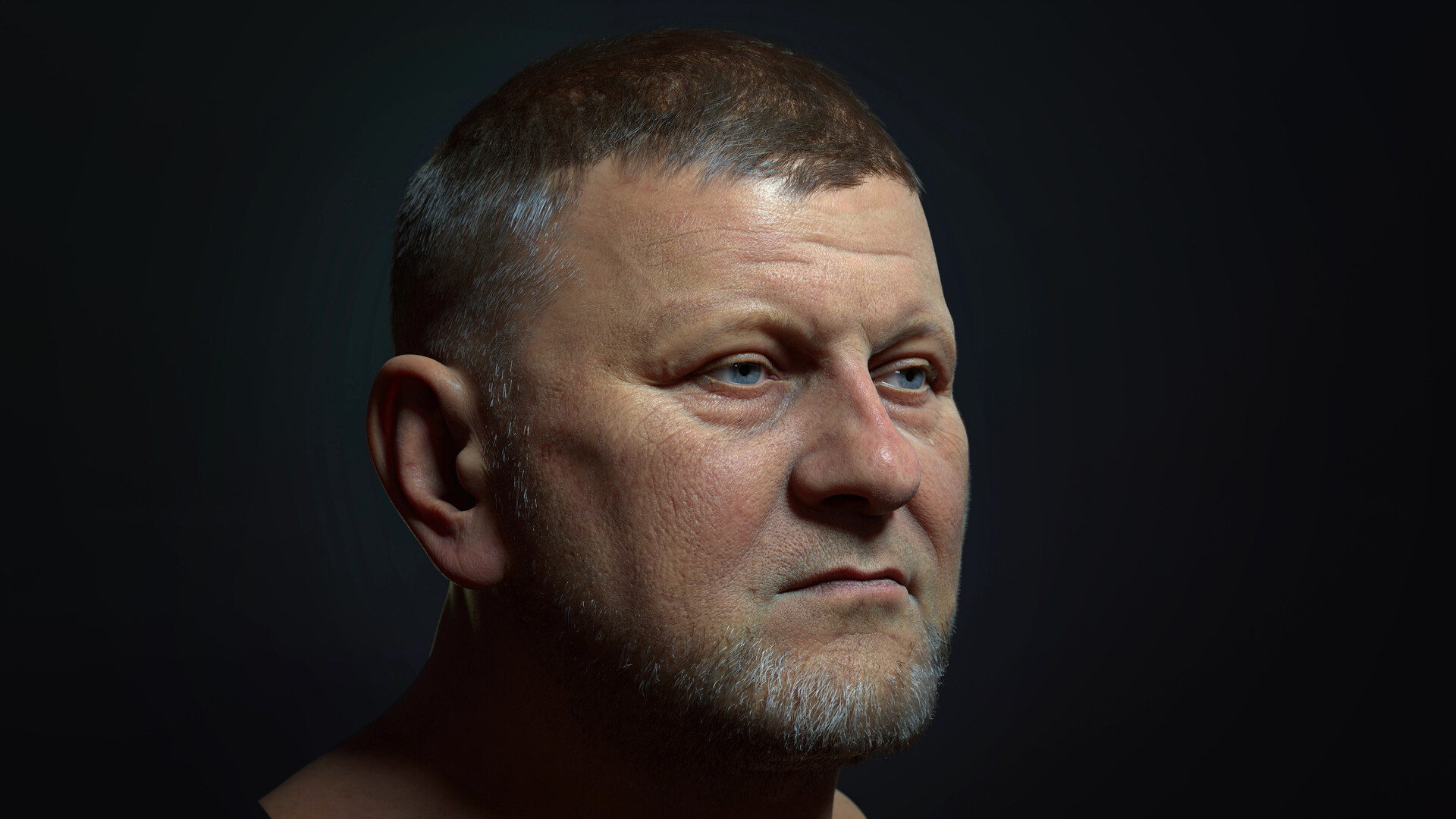 ArtStation - General Zaluzhny