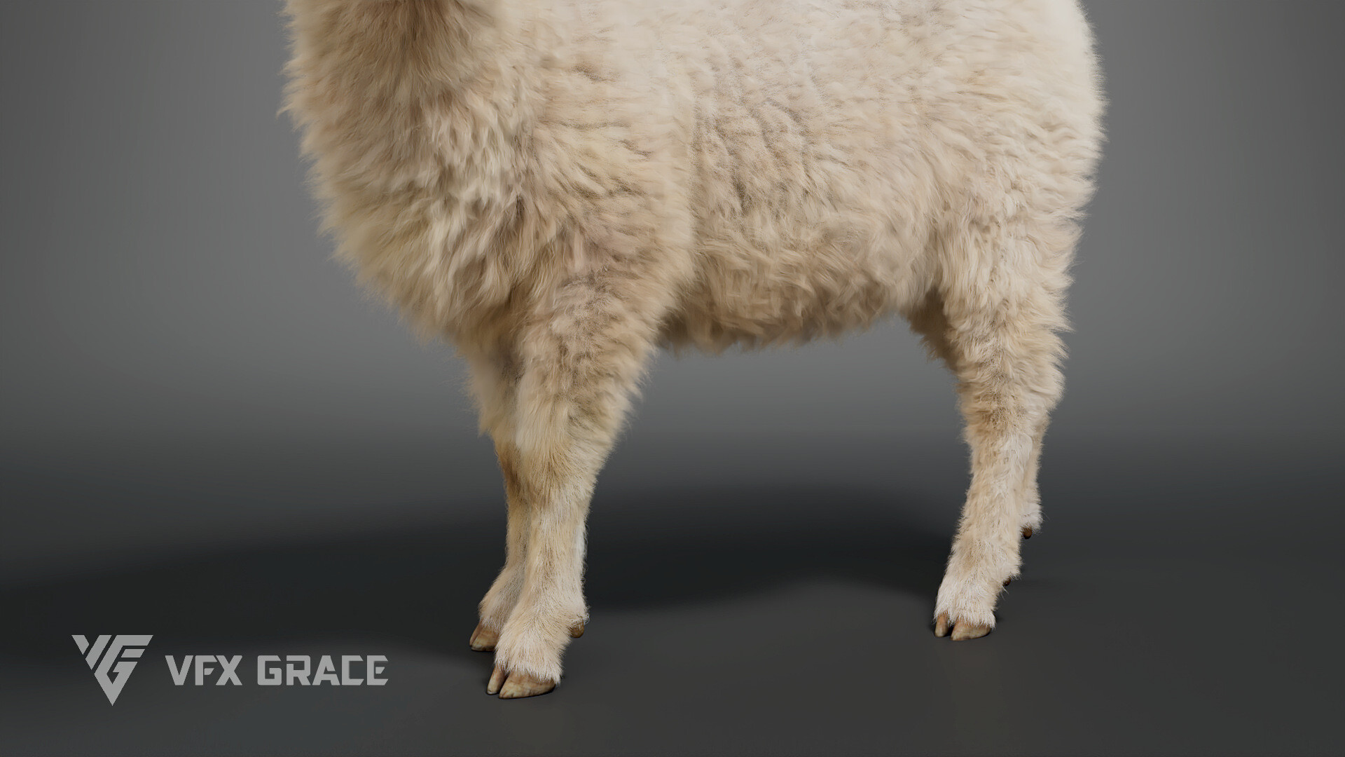 VFX models - Youth Sheep Animated - MAYA Character Asset