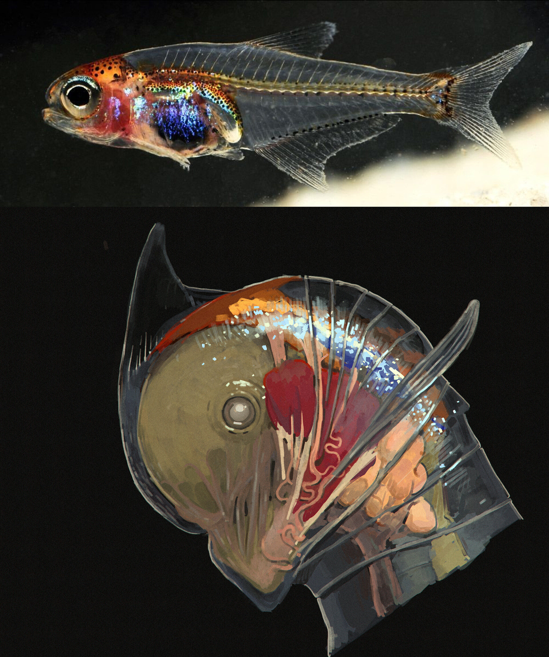 ArtStation - Fish Knight and the Glass Sniper