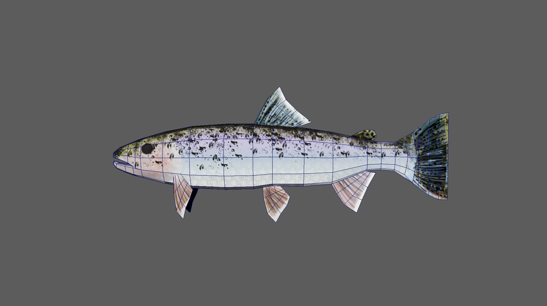 Megumi Perez - Still life environment