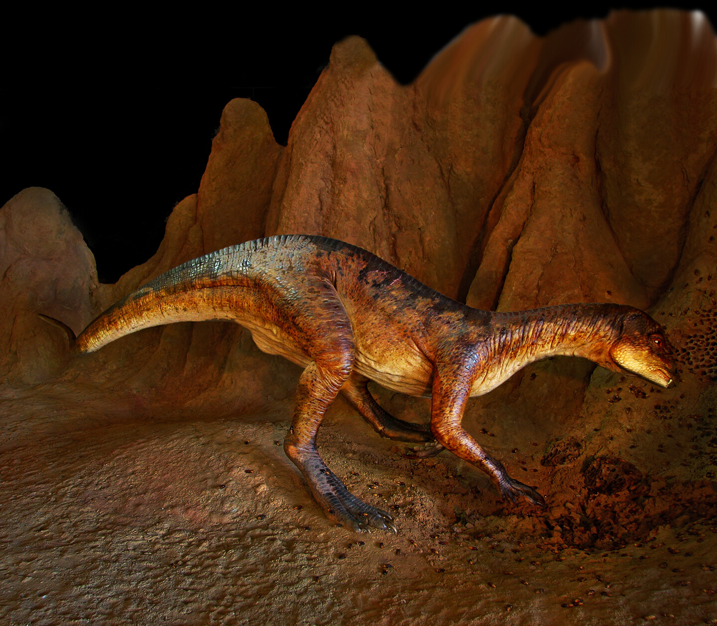 Steven Saunders - Heterodontosaur female