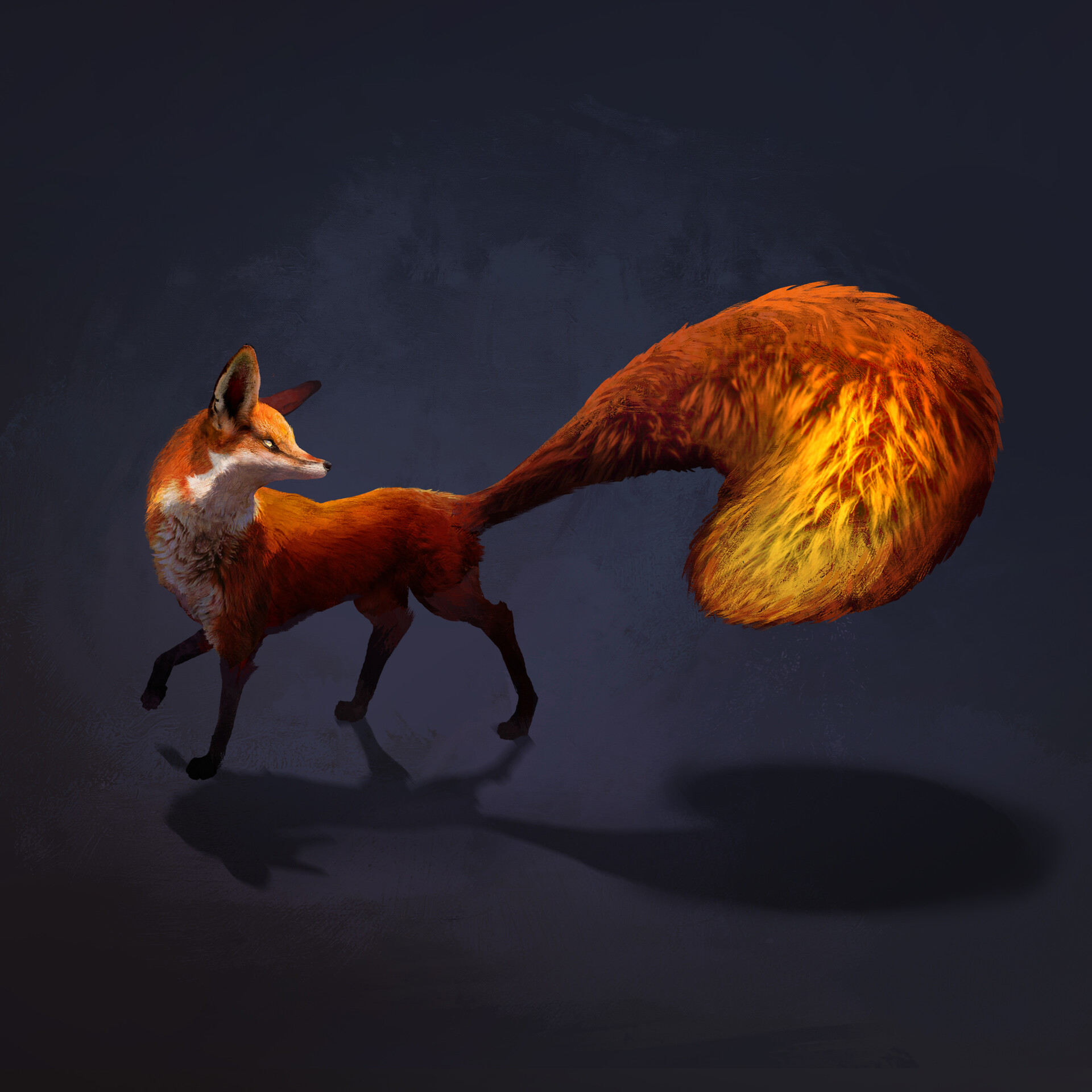 Simon-Pierre BERNARD - KITSUNE