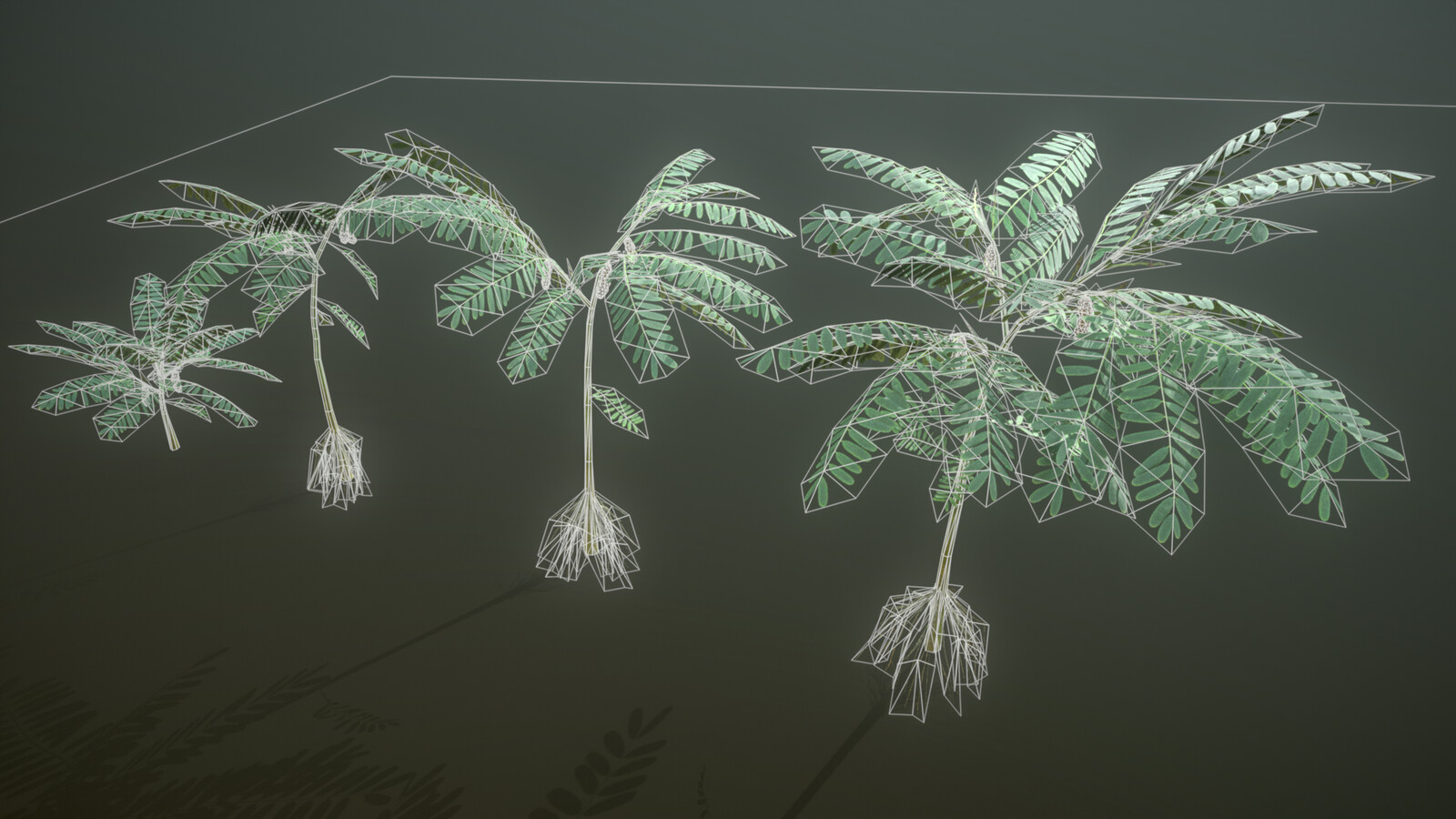 Mathy T - Harvestable Plants