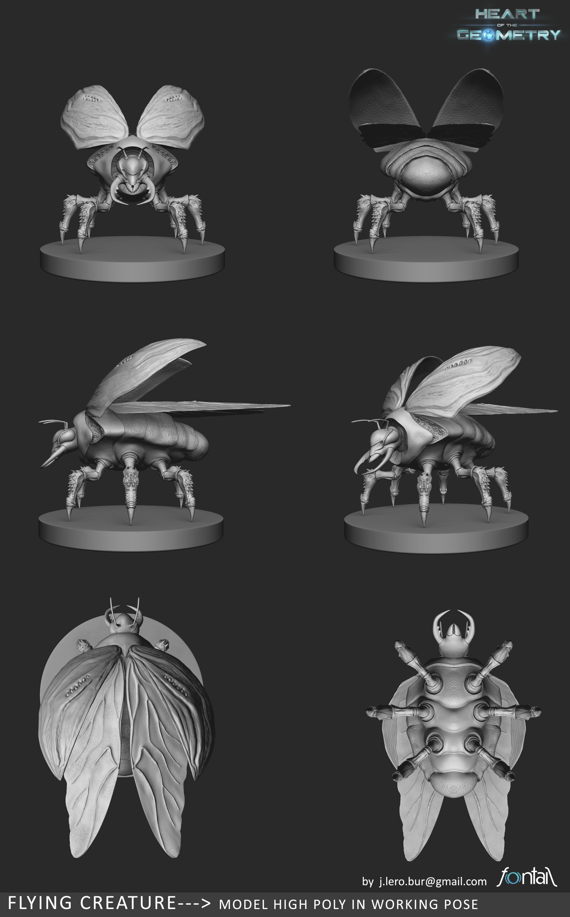 Jorge Lerones - FLYING CREATURE