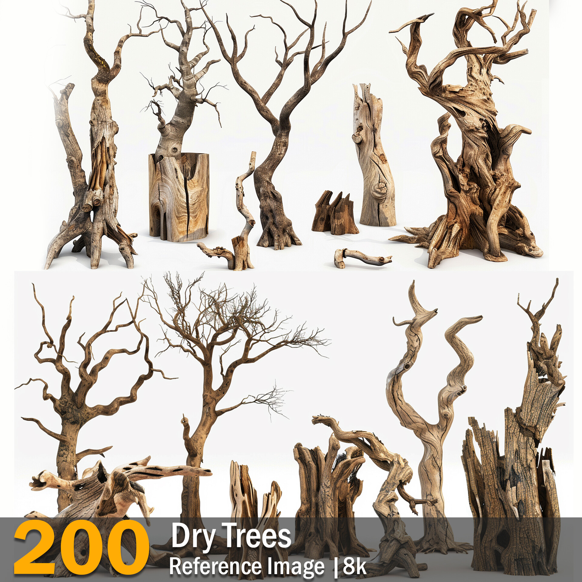 Lumière - Dry Trees | Reference Images | 8k