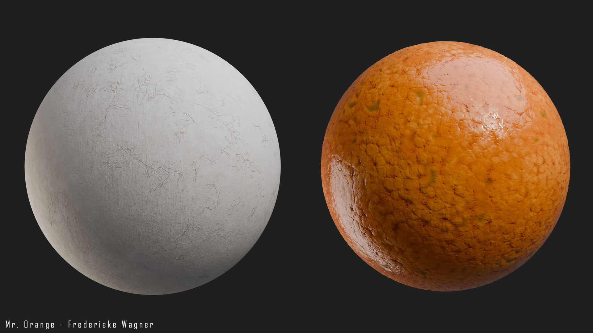 Frederieke Wagner - Mr. Orange's House