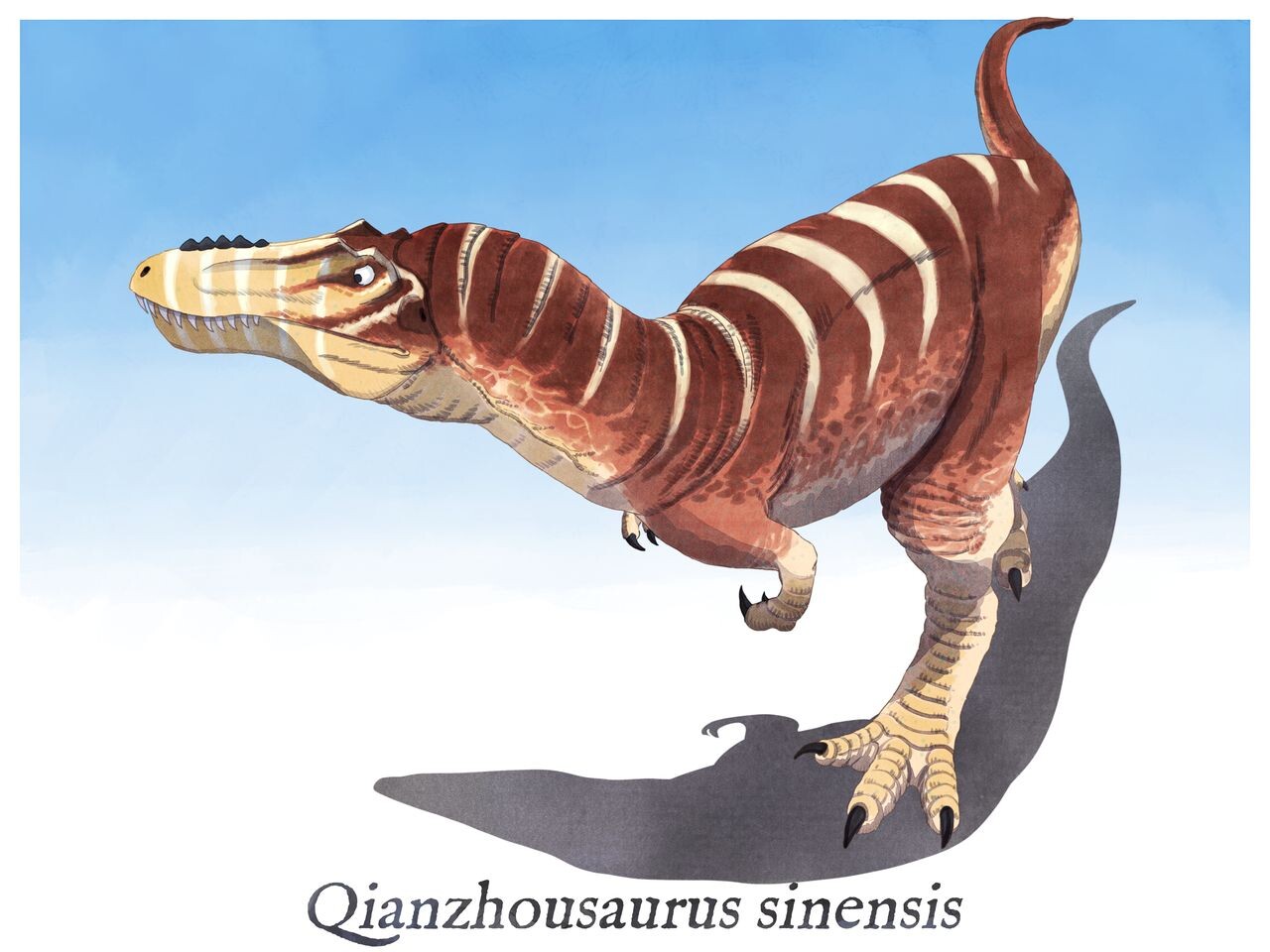 ArtStation - Dinosaurs from A to Z - Q is for Qianzhousaurus