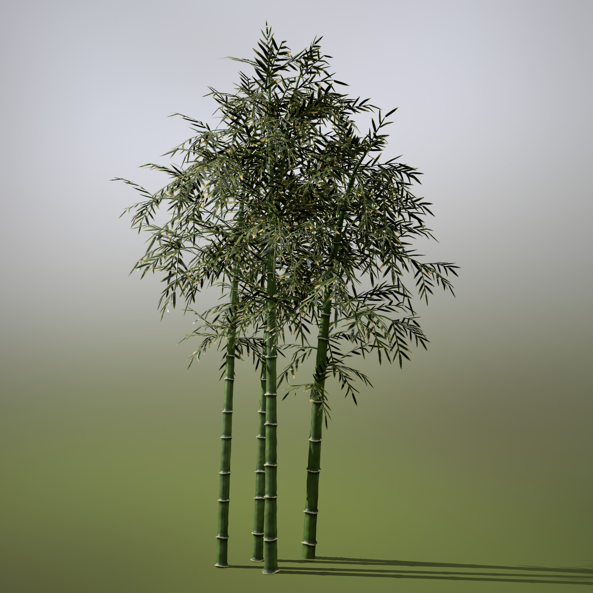 ArtStation - Bamboo