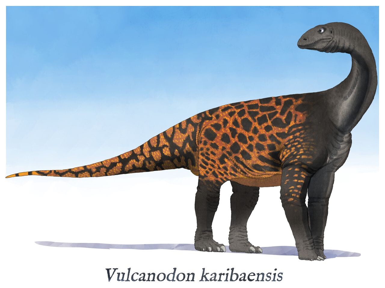 ArtStation - Dinosaurs from A to Z - V is for Vulcanodon