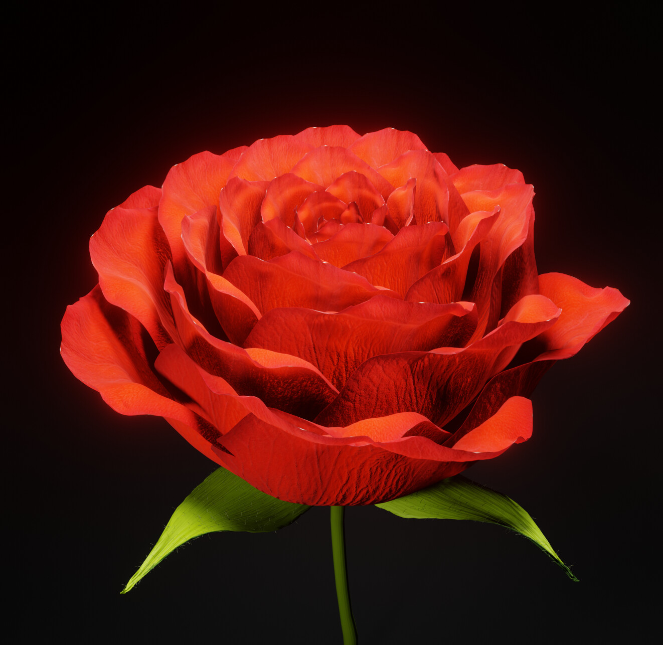 ArtStation - Blooming Rose