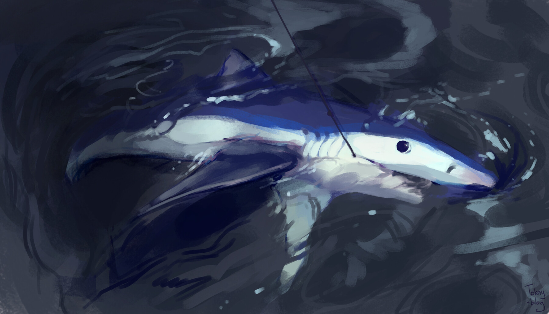 ArtStation - Sharks