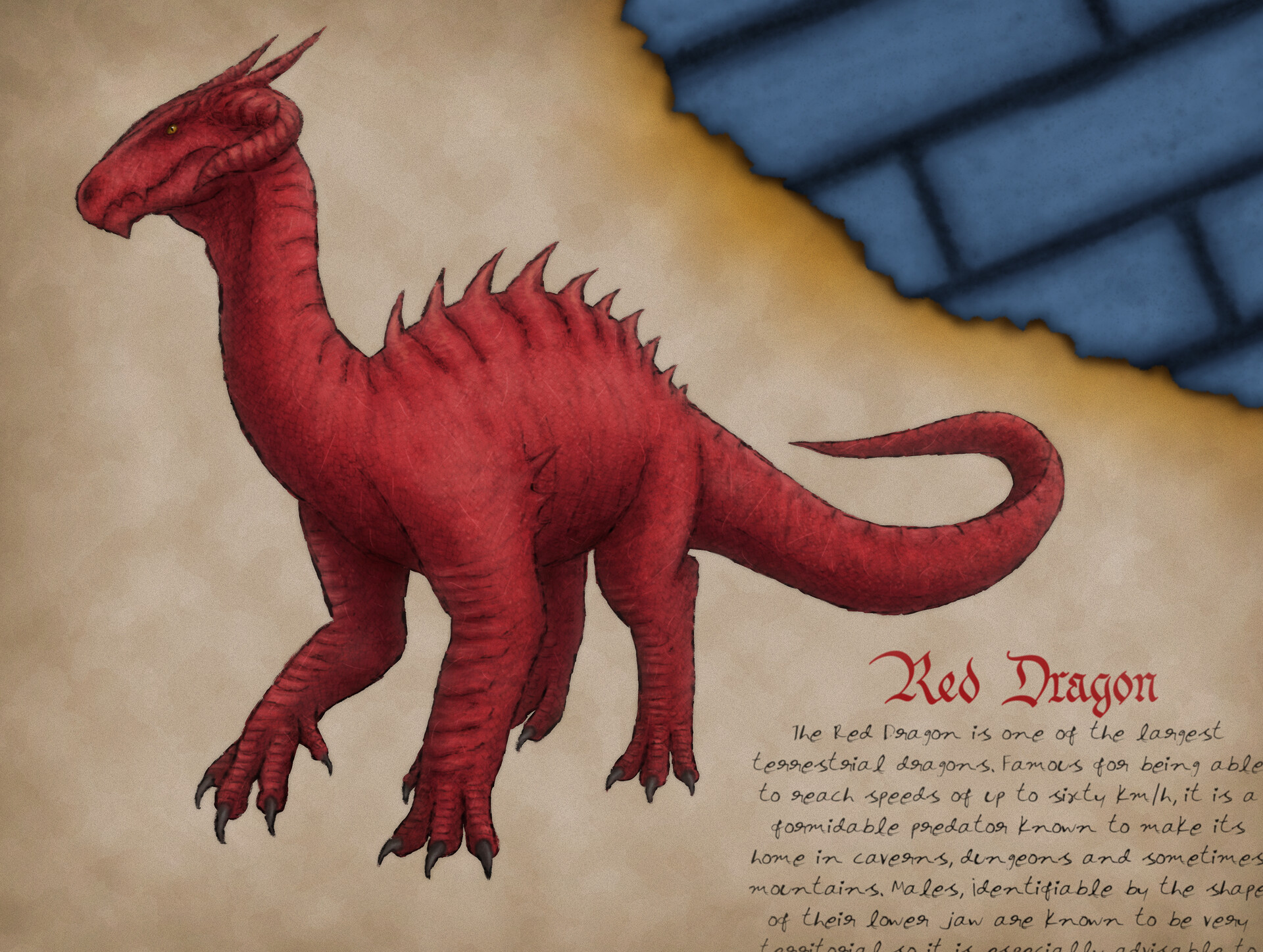 ArtStation - The Red Dragon