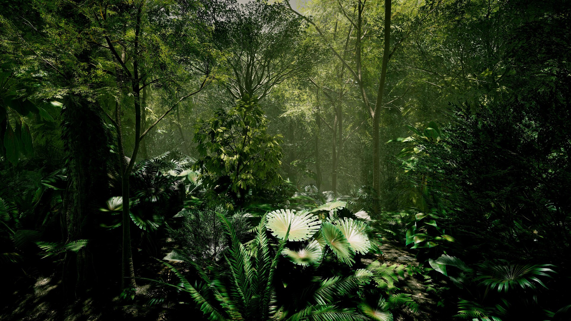 ArtStation - Rainforest