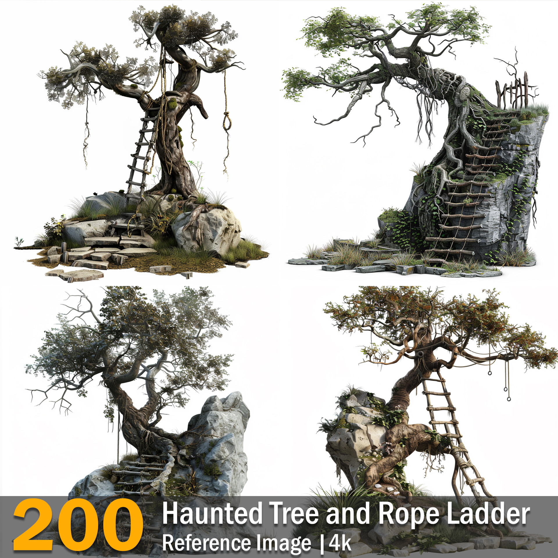 ArtStation - Haunted Tree and Rope Ladder | Reference Images | 4K